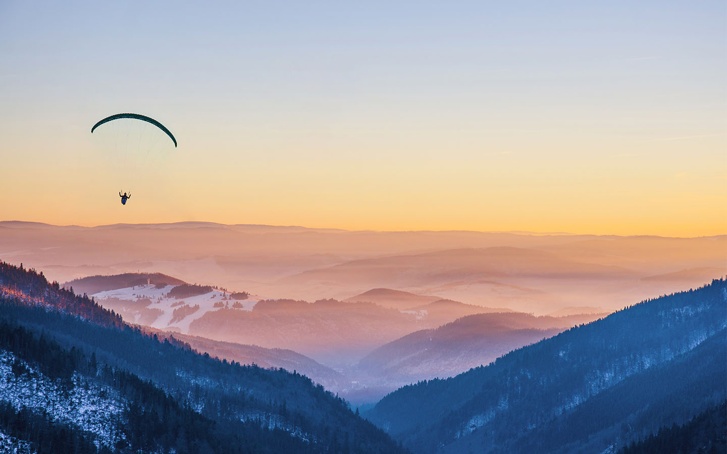 Leading investment manager. PE, Climate Change, Real Estate, Digital ...